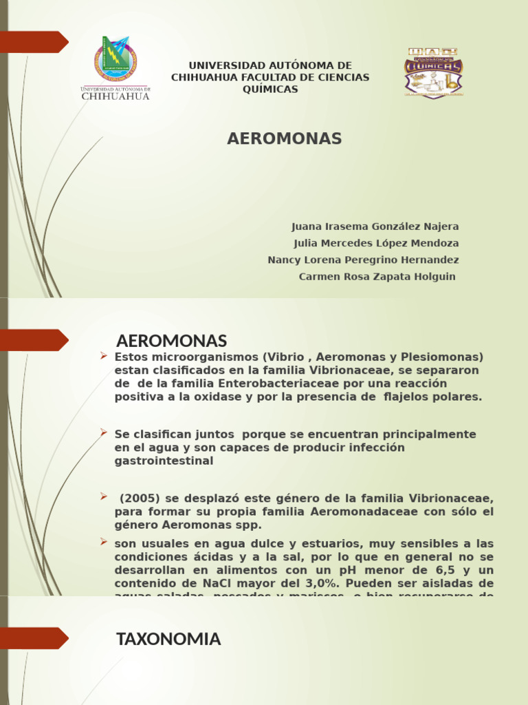 Aeromonas 1 | PDF