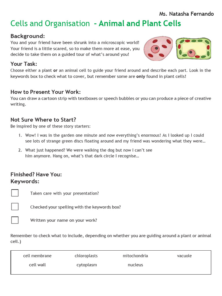 Journey Into A Cell Activity Sheet | PDF