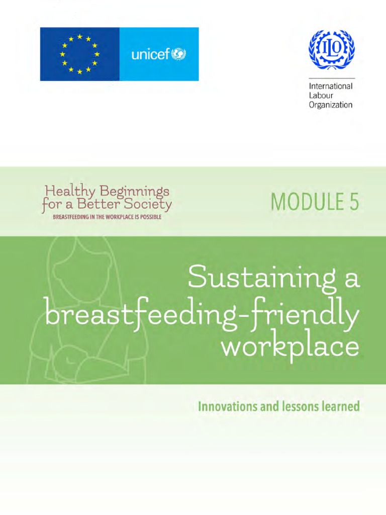 Mother-Baby-Friendly-Workplace Module 5 | PDF