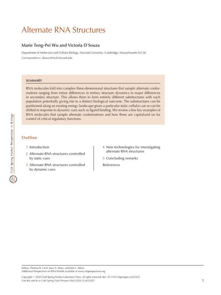 Alternate RNA Structures | PDF