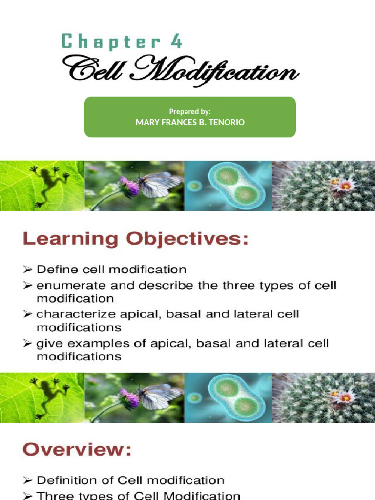 Cell Modification Ppt 1 | PDF
