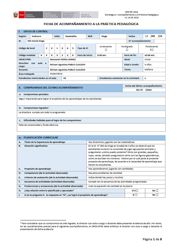 Ficha de Acompañamiento A La Práctica Pedagógica 055 AGOSTO | PDF