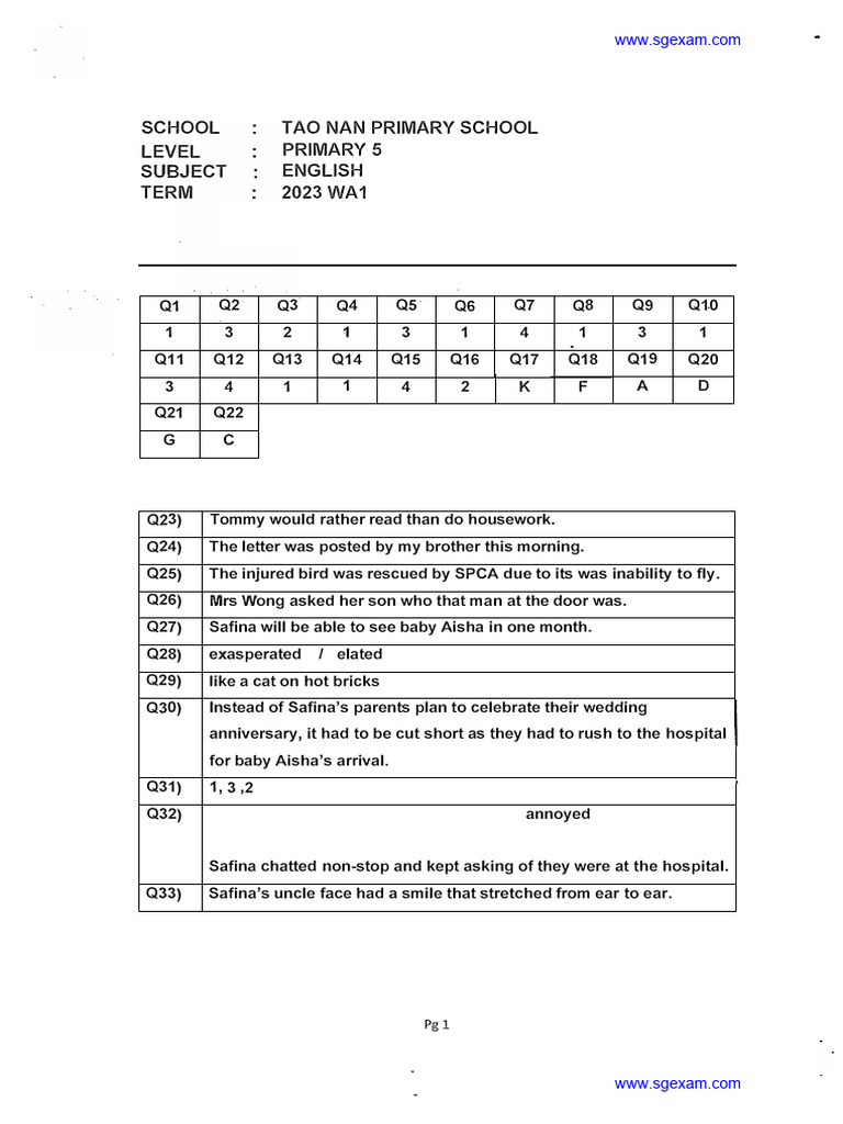 2023-P5-English-Weighted Assessment 1-Tao Nan Answers | PDF
