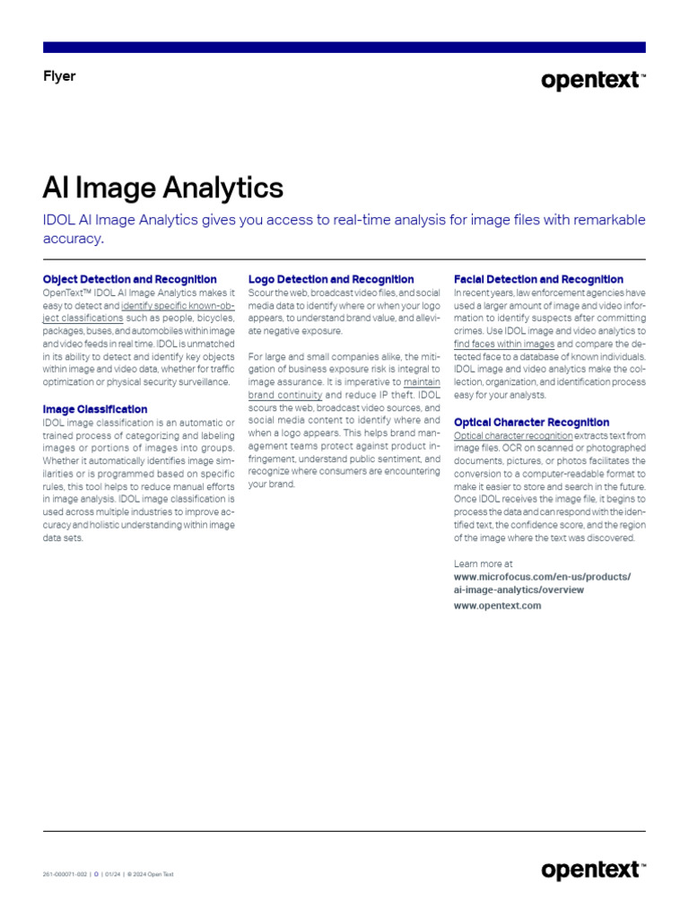 Ai Image Analytics Flyer en | PDF