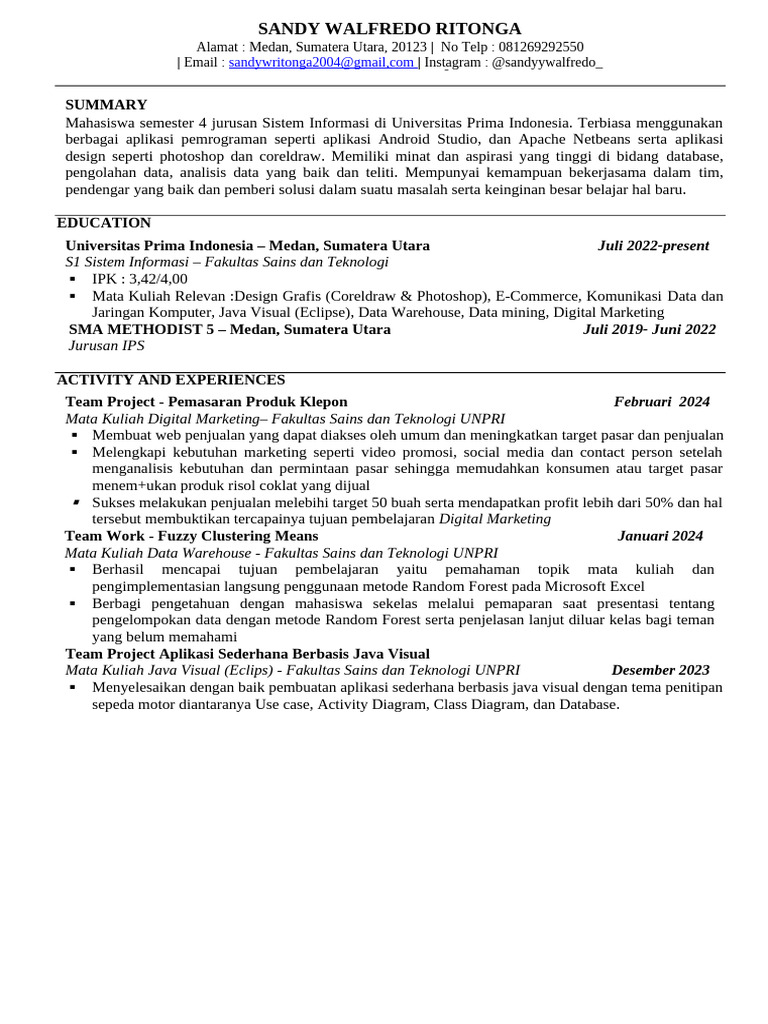 CV MSIB Sandy W Ritonga | PDF