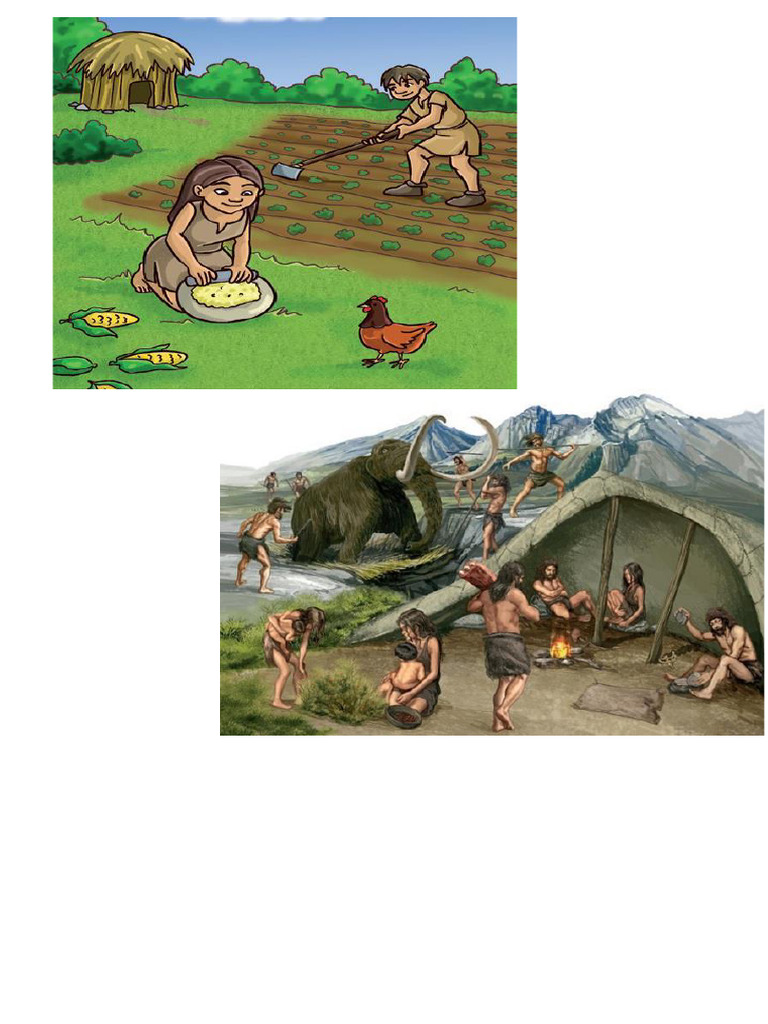 Nomadas | PDF