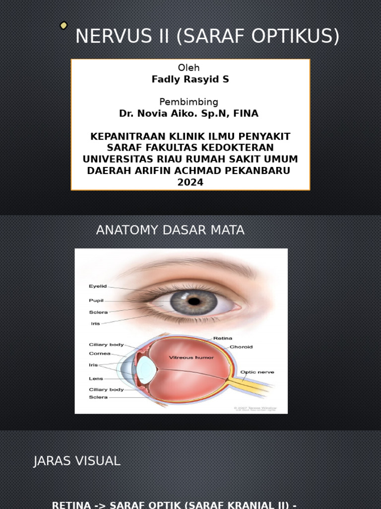 Nervus 2 | PDF