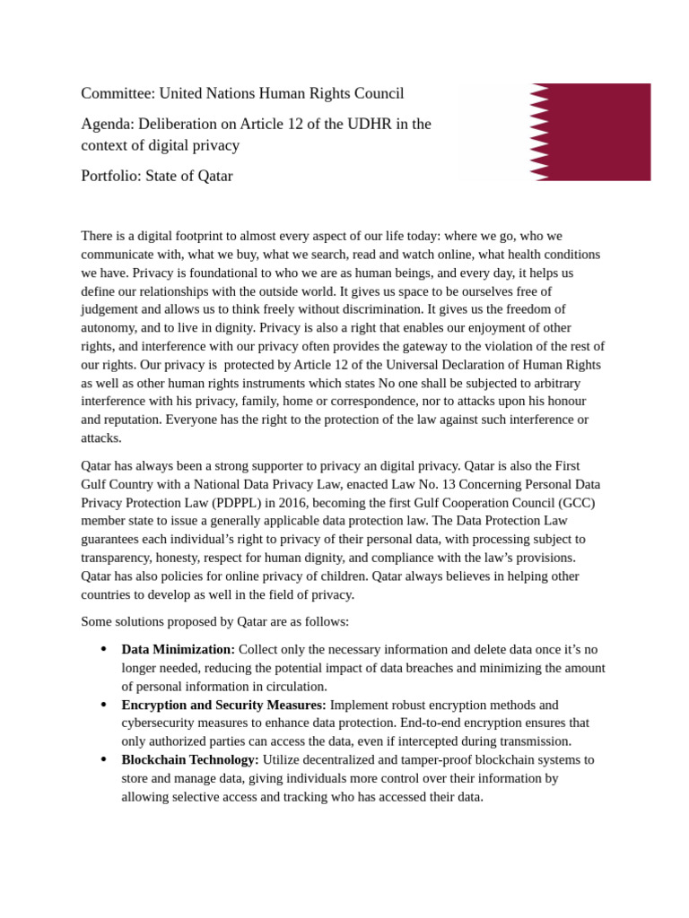 Position Paper (Qatar) | PDF
