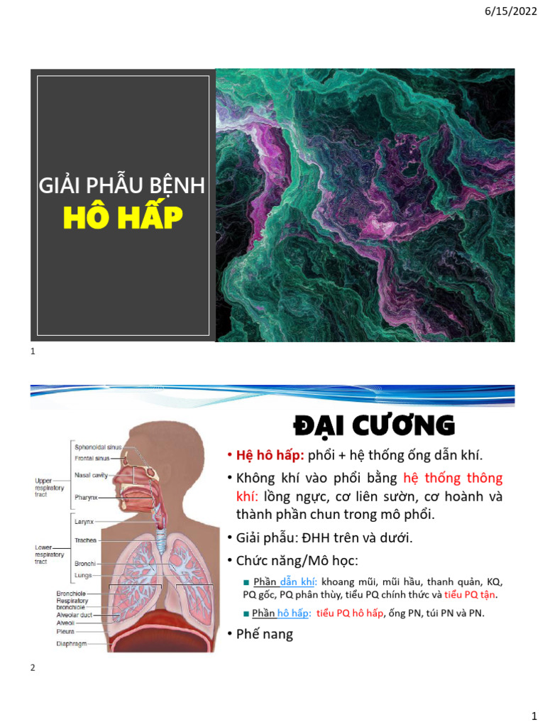 BÀI GIẢNG GPB HÔ HẤP 2022 | PDF