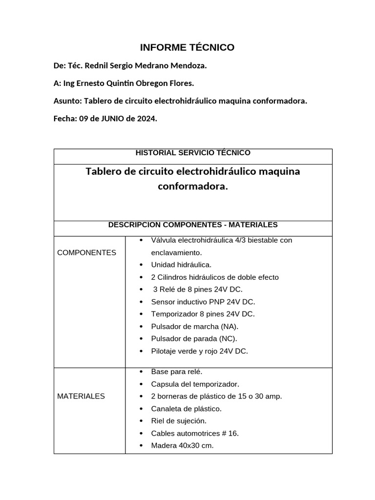 Modelo Informe Tecnico | PDF