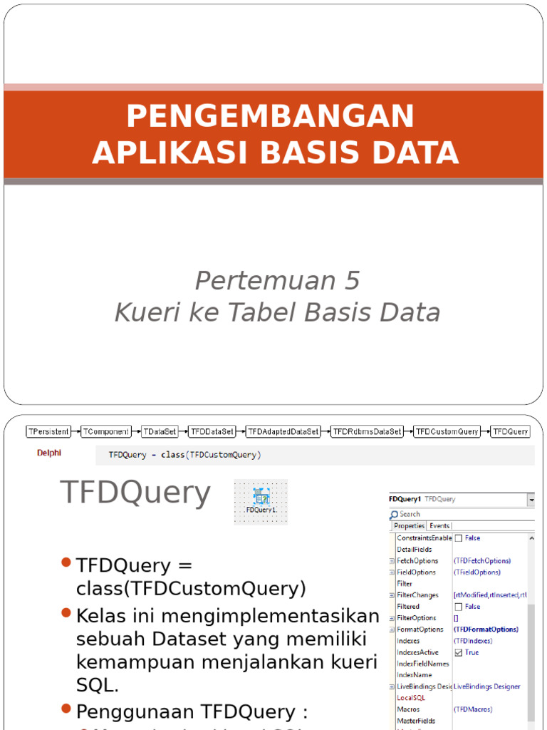 Akses Database DGN TFDQuery | PDF