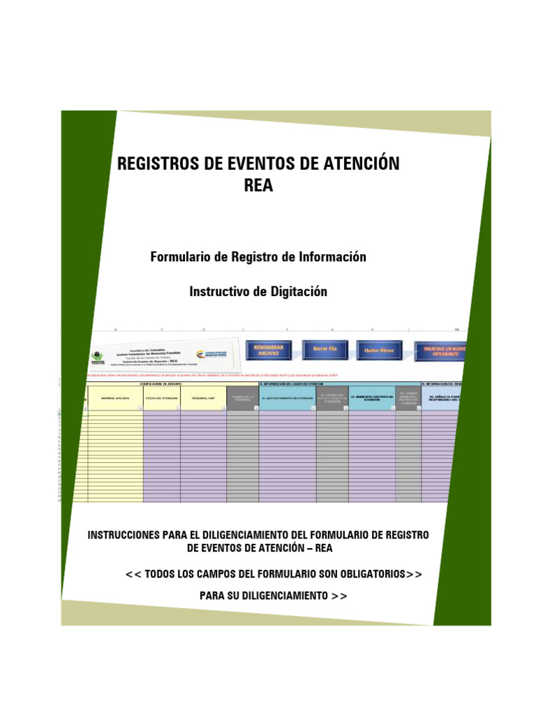 IT3_INSTRUCTIVO_ EXCEL_REA | PDF