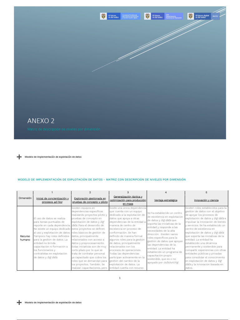 Anexo 2. Matriz de Descripcion de Niveles Por Dimensión | PDF