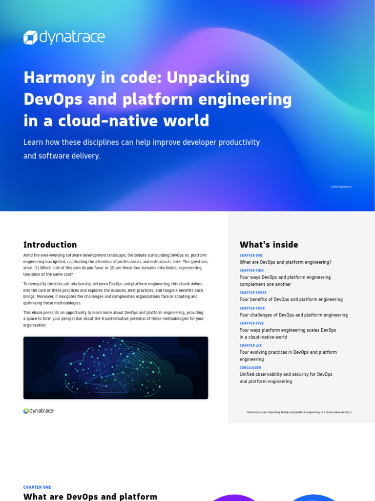 Unpacking Devops Platform Engineering | PDF