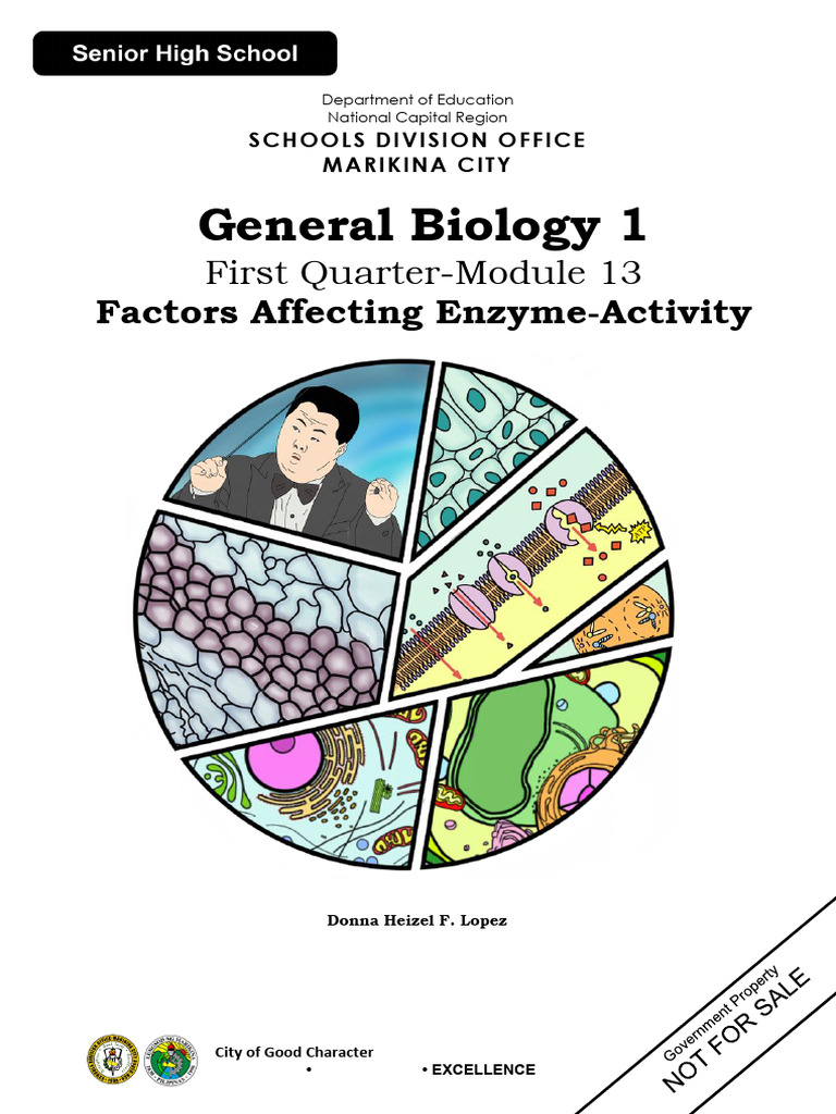 SHS-BIOLOGY 1 - MODULE 13 - Factors Affecting Enzyme-Activity | PDF