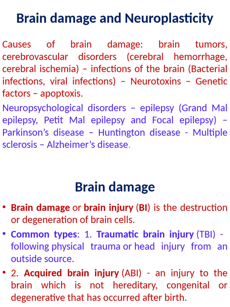 Brain Damage and Neuroplasticity | PDF | Stroke | Thrombus