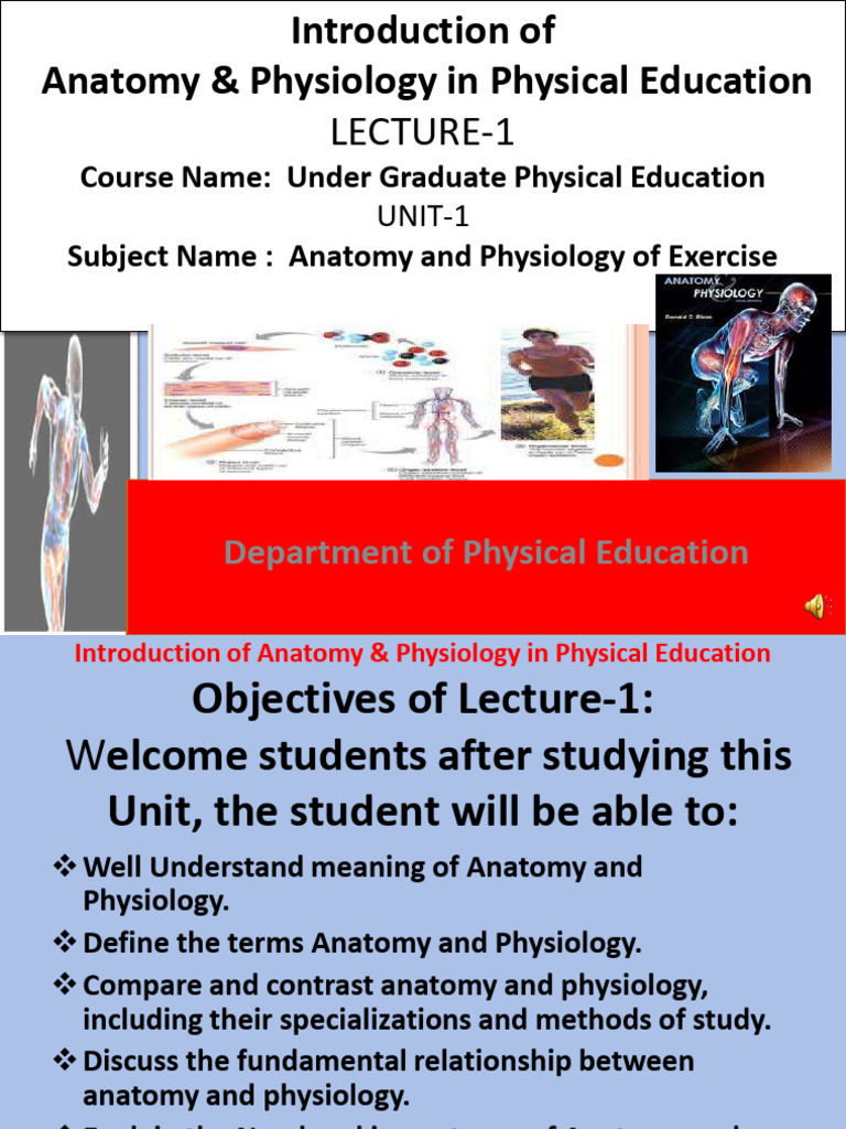 Anatomy & Physiology in Physical Education | PDF