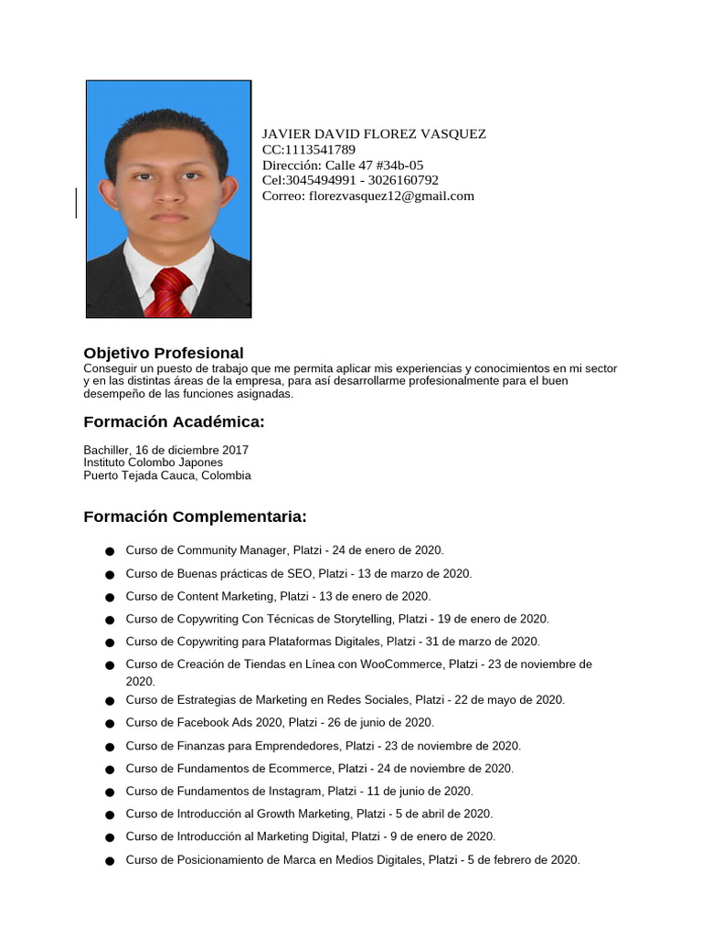 Hoja de Vida Javier | PDF