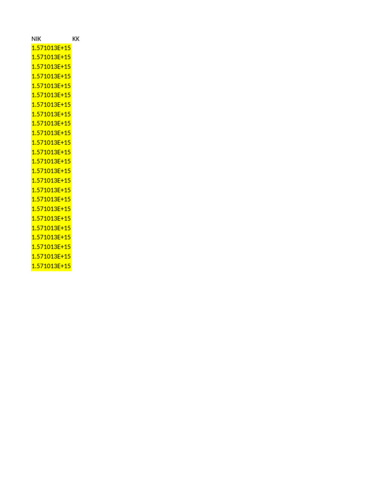 NIK KK 1JT | PDF