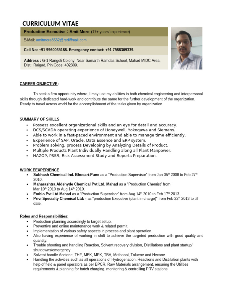 Amit More CV | PDF | Chemical Process Engineering | Technology & Engineering