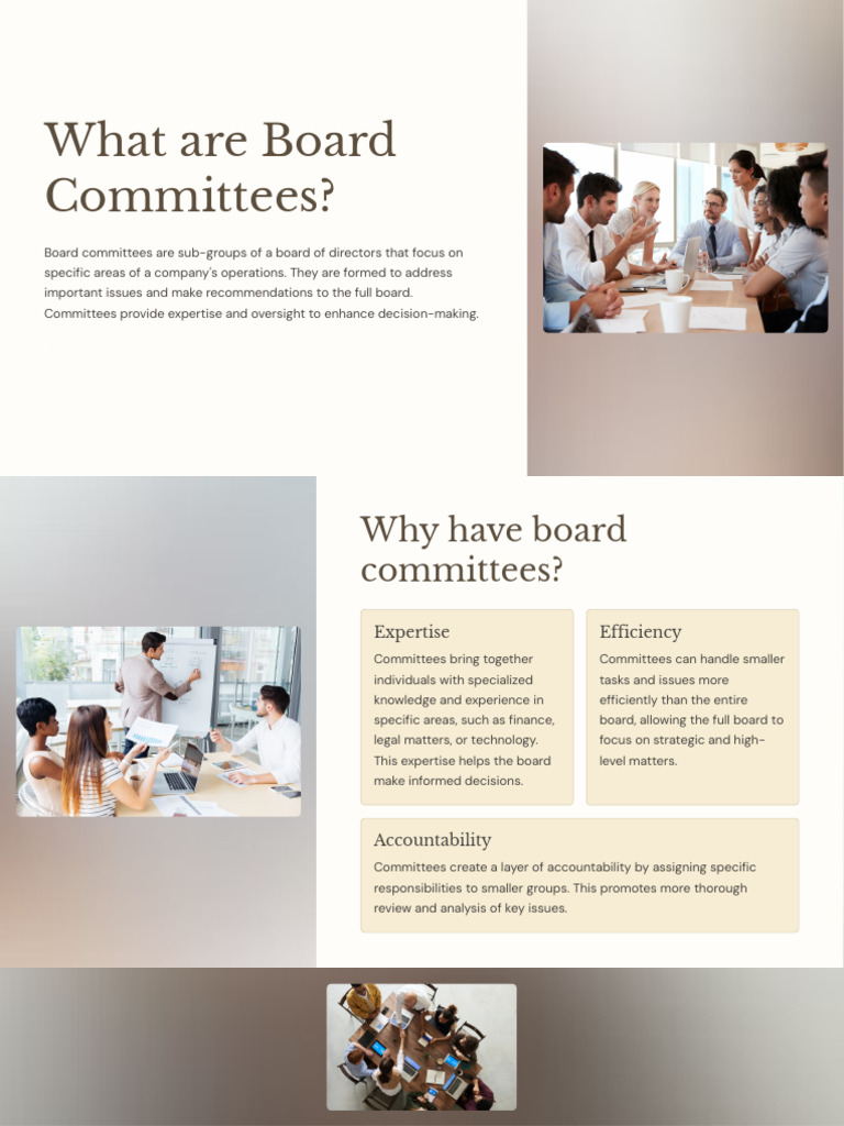 What-are-Board-Committees | PDF
