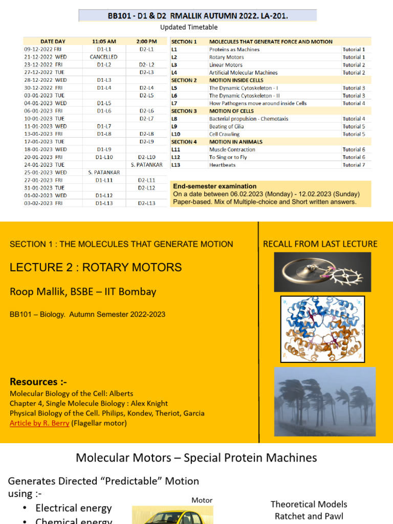 BB101 RM Sec1 Lec2 | PDF