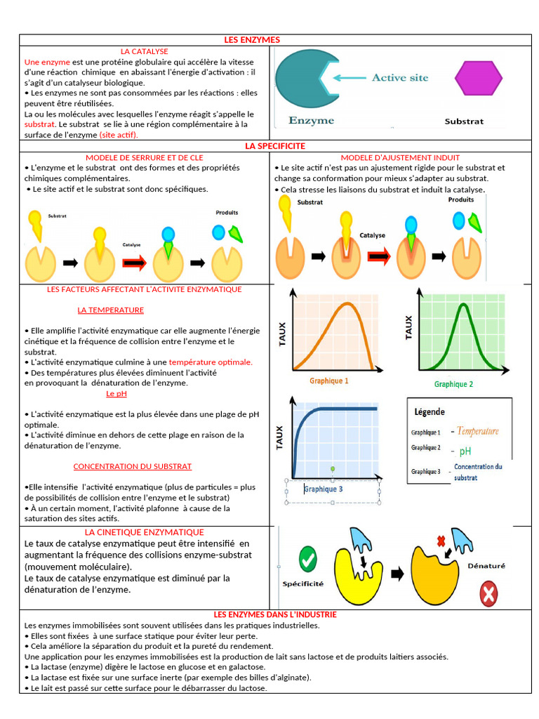 Biologie PEI 5 PDT 2 Leçon 2 LES ENZYMES Nouy | PDF