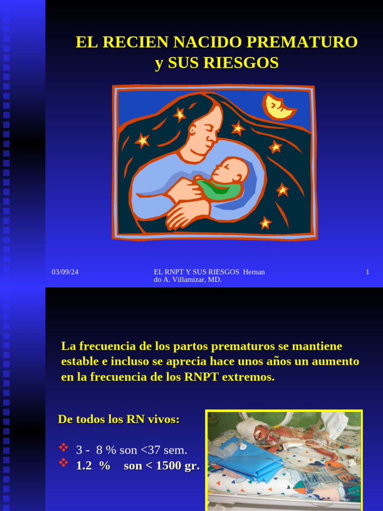 RNPT y Sus Riesgos | PDF