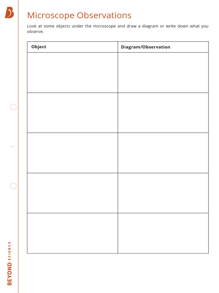 Microscope Observations Worksheet | PDF