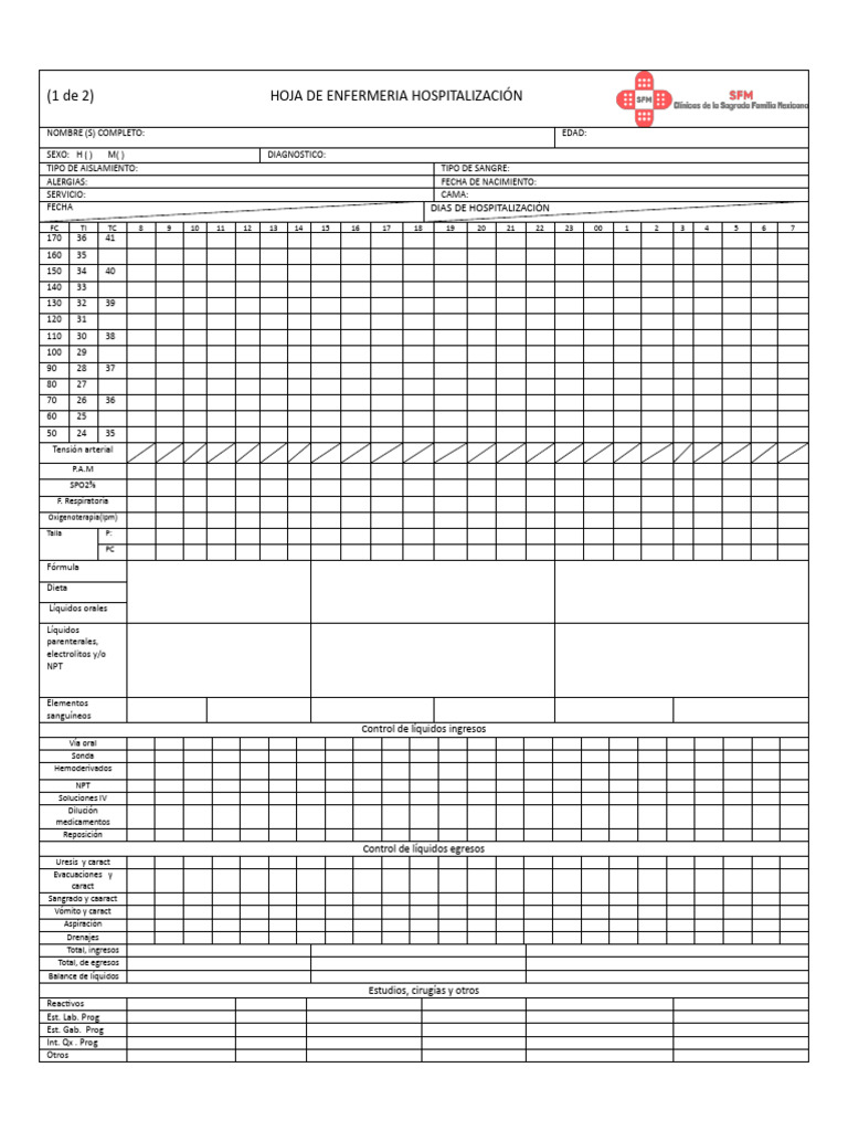 HOJA DE ENFERMERIA _ EDITABLE | PDF
