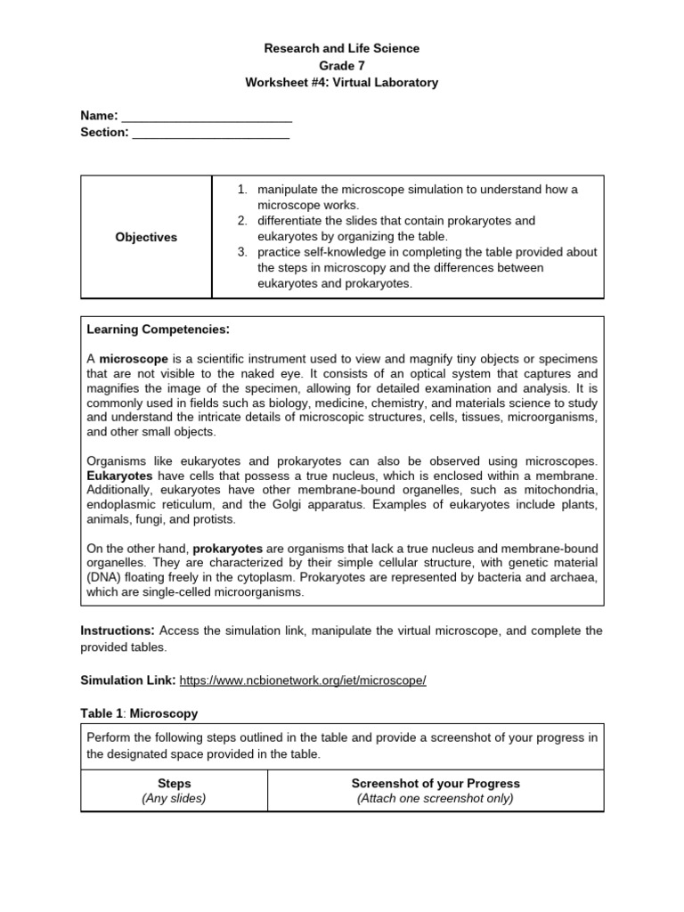 Week 4 - Worksheet #4 | PDF