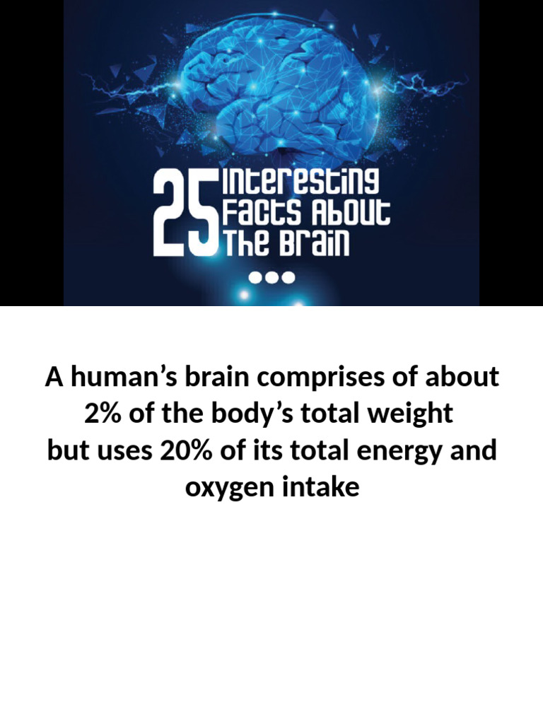 Metacognitive: The Brain | PDF