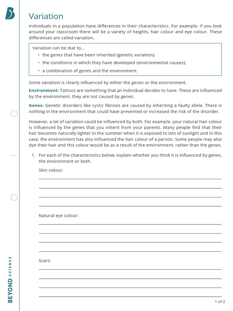 Variation Worksheets | PDF