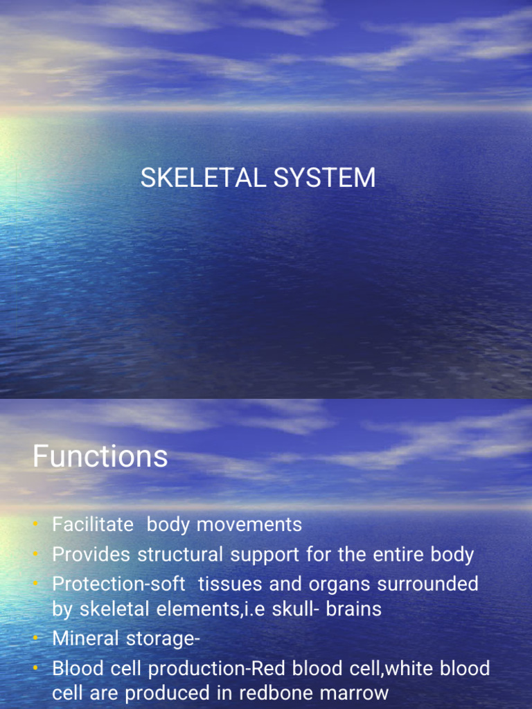 Skeletal System | PDF