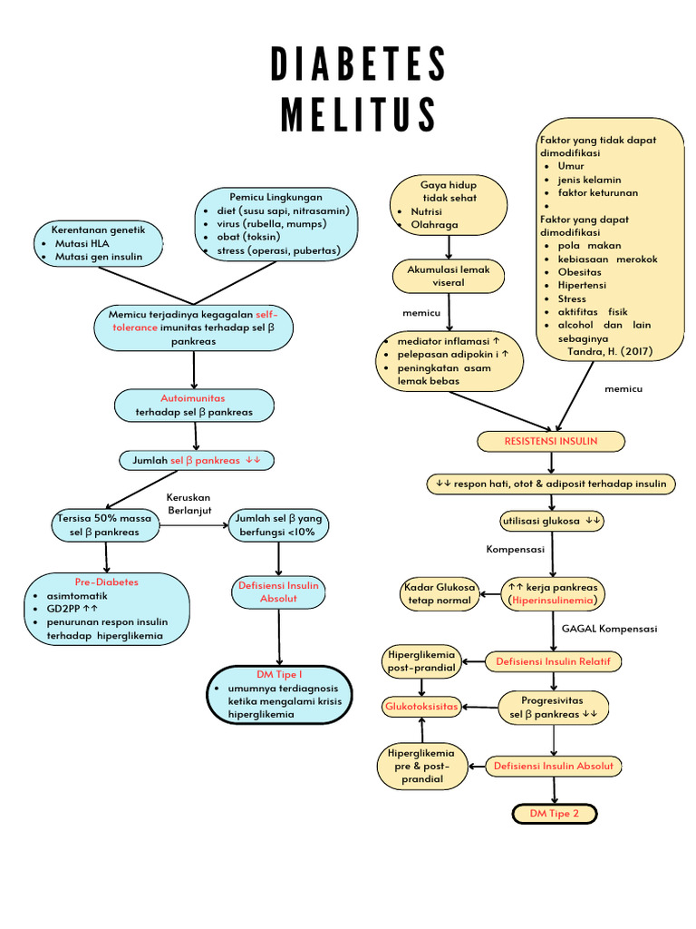 Patofisiologi Diabetes Melitus | PDF