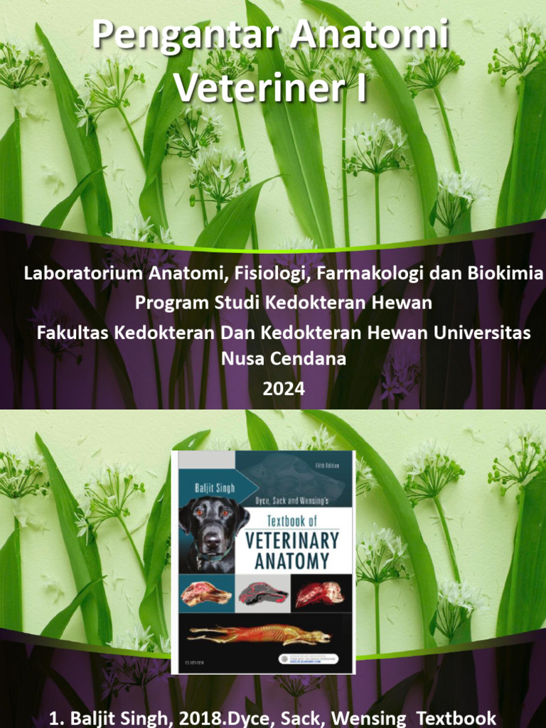 ANATOMI VETERINER I 2024 Pengantar | PDF