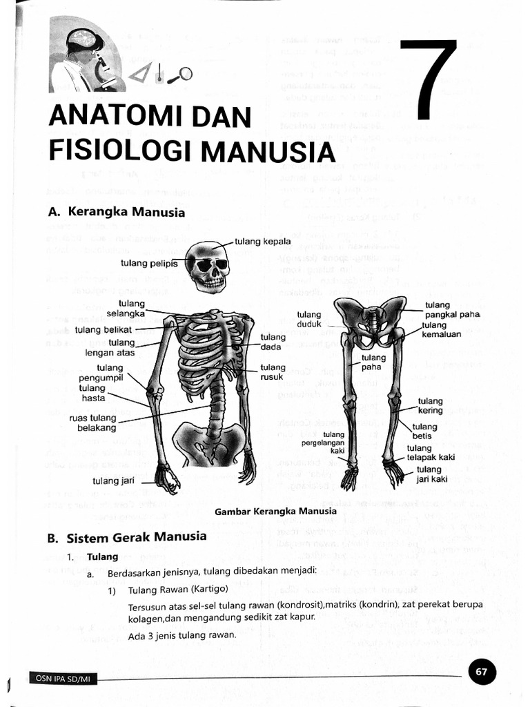 Contoh Soal Osn Anatomi Fisiologi Hewan Sd Dari Buku Pdf
