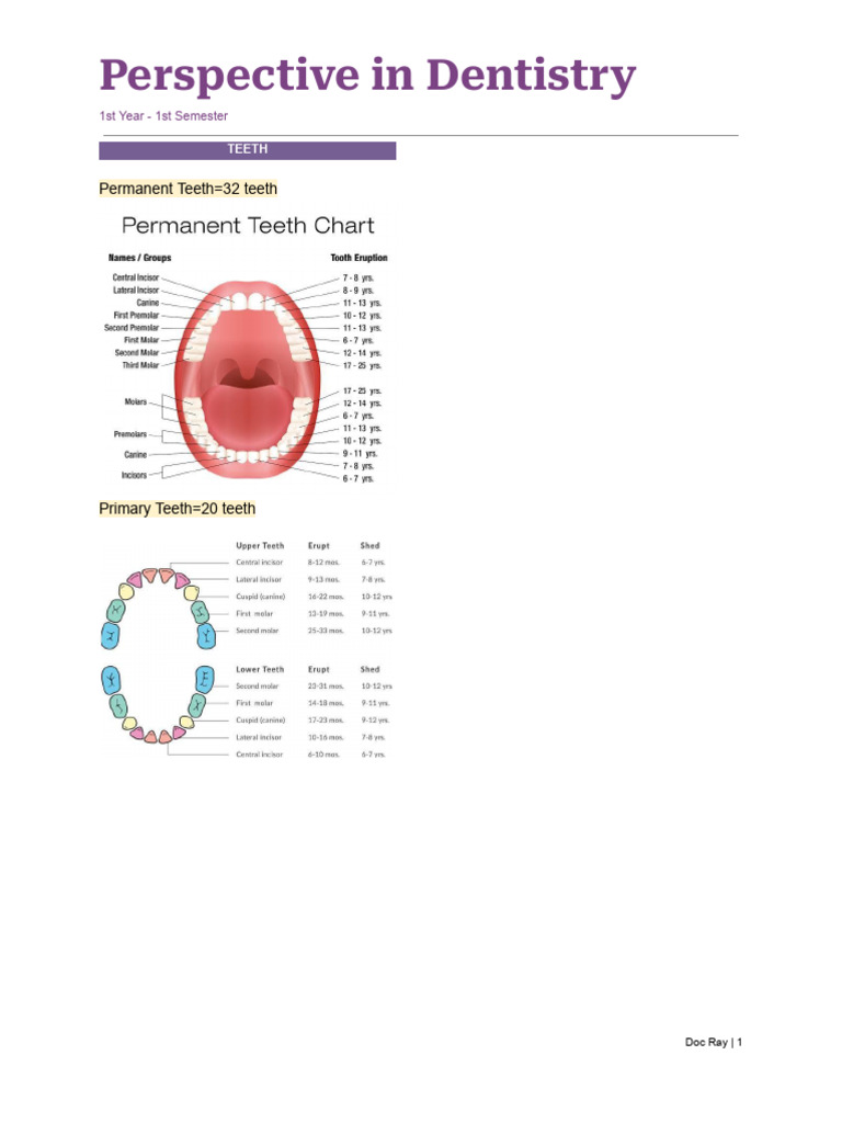 Perspective in Dent - Basic Knowledge | PDF | Dental Anatomy | Language ...