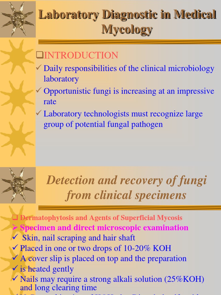 Laboratory Diagnostic in Medical Mycology | Fungus | Microbiology