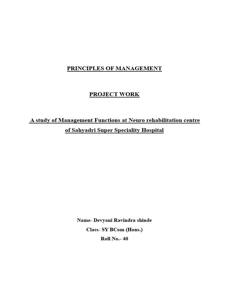 Pom Project Mini | PDF