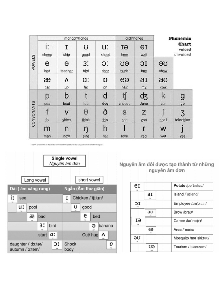 Handout For K06 | PDF