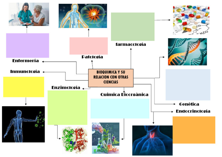 Bioquímica Mapa Conceptual | PDF