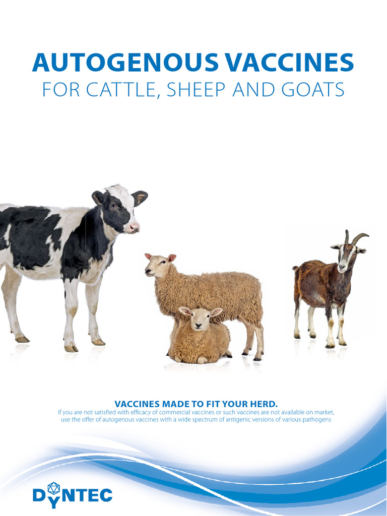 12540-Dyntec-Dvojlist Skot - EN - A4 | PDF