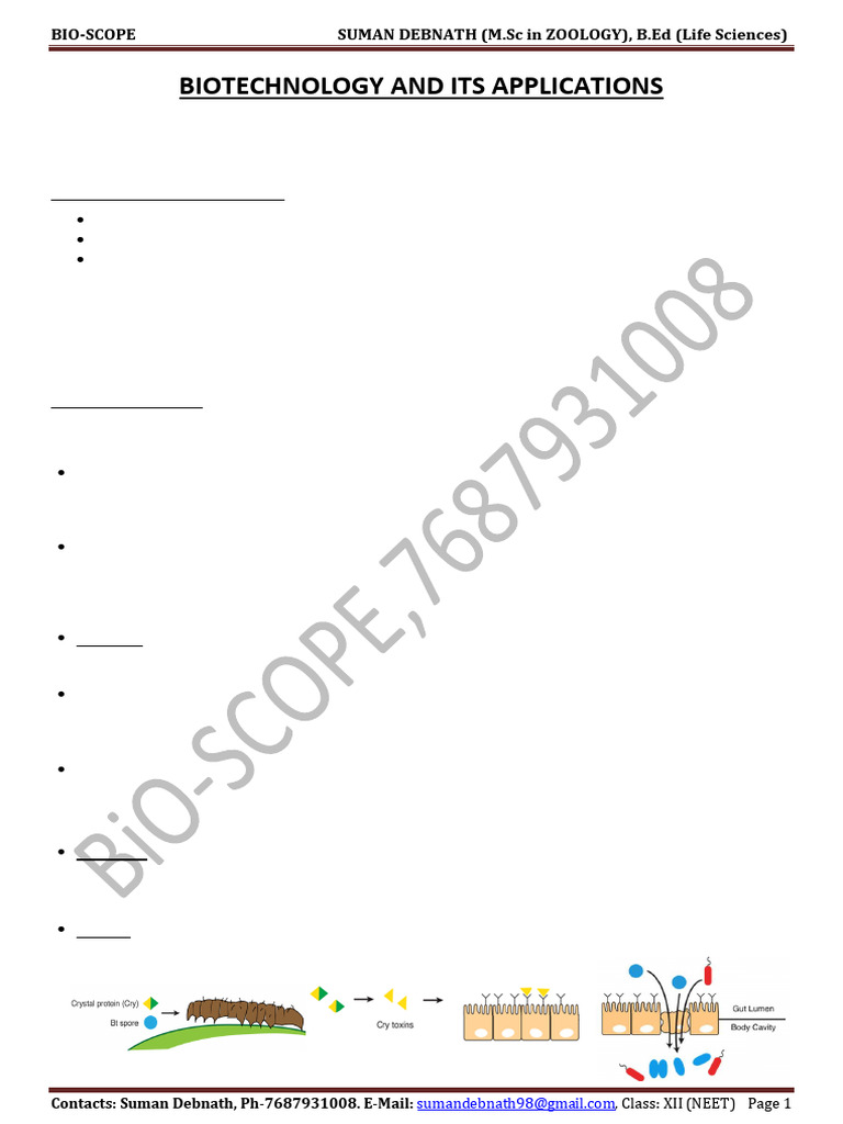 Biotechnology Applications Overview | PDF | Genetically Modified ...