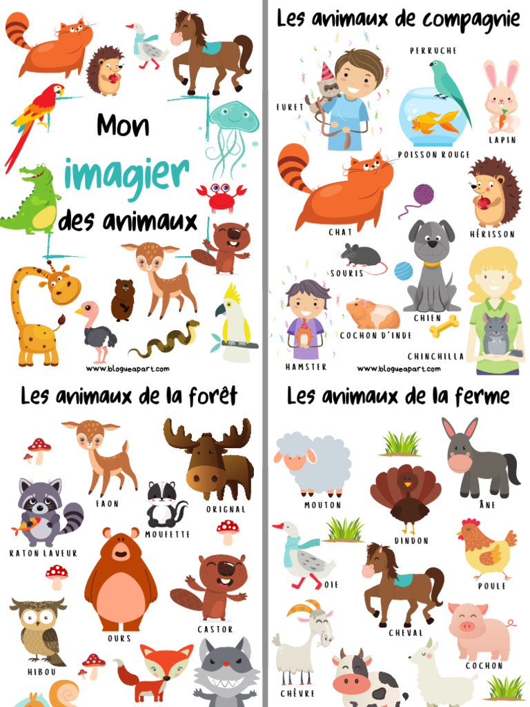 Mon Imagier Pour Les Petits | PDF