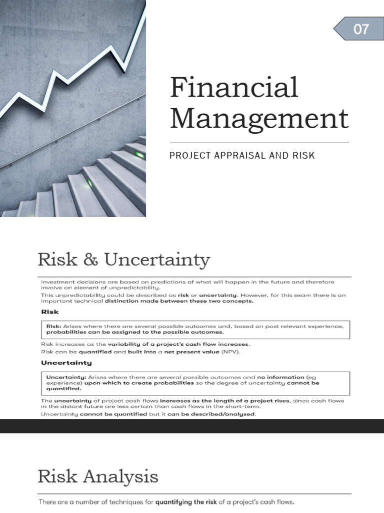 Chapter 7 Project Appraisal and Risk | PDF