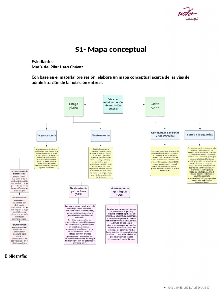 Haro - Maria - Mapa Conceptual Semana Uno Trabajo Grupal | PDF | Salud y bienestar | Ciencia y ...