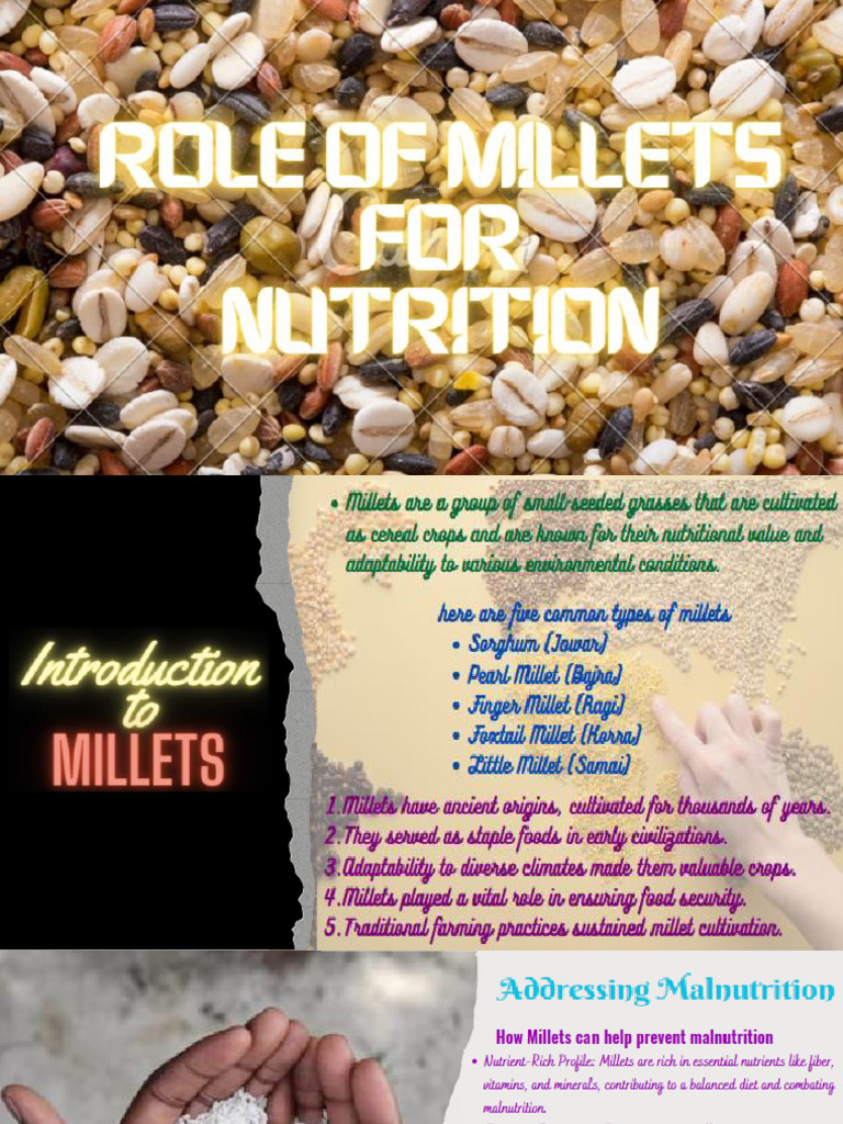 Millets | PDF