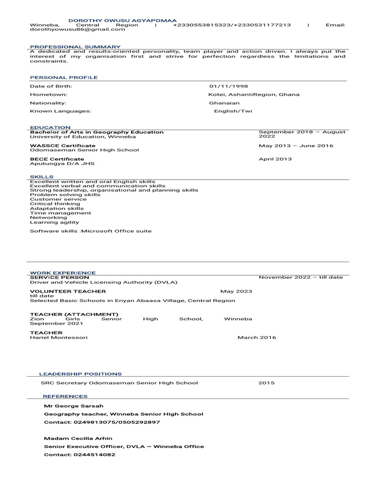 Dorothy CV Standard | PDF