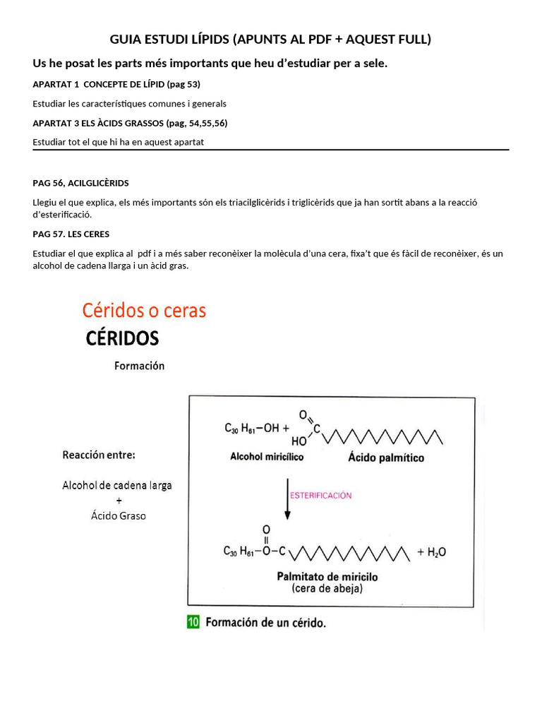 Guia Estudi Lípids | PDF